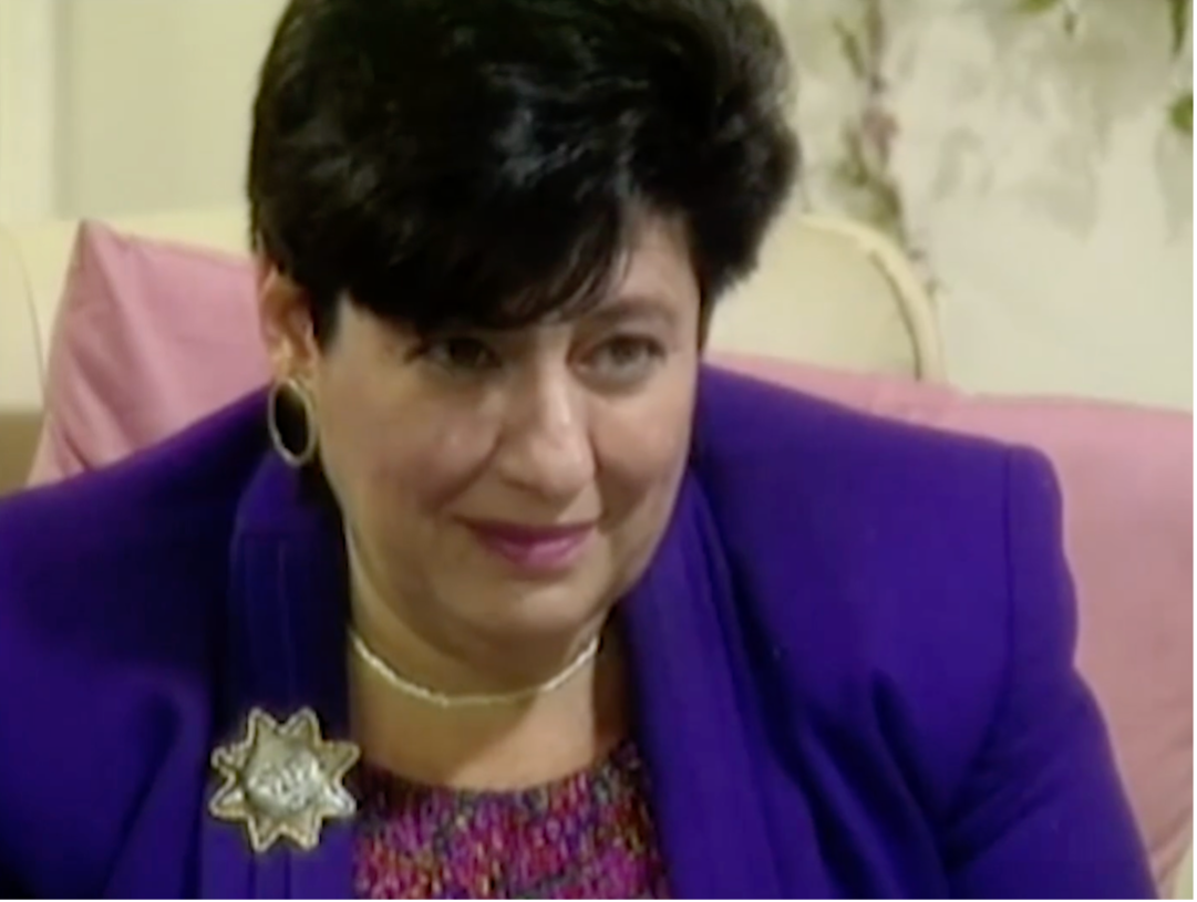 The Abused Woman: A Survivor Therapy Approach | Dr. Lenore E. Walker